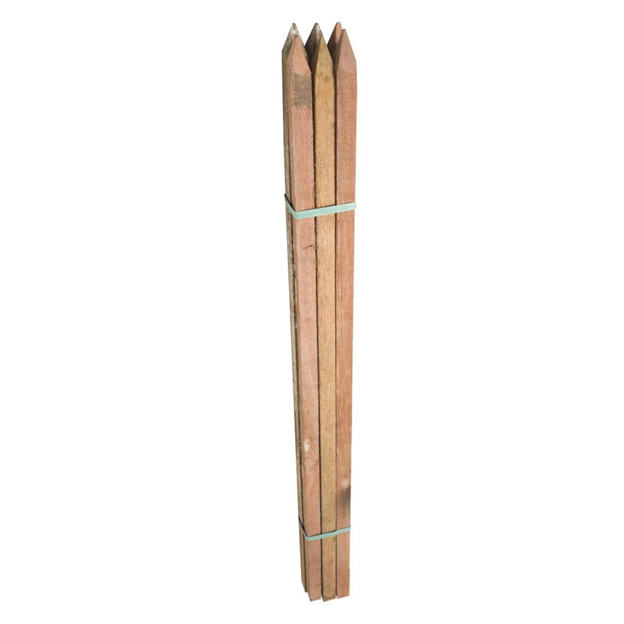 6PK Hardwood Garden Stakes - 3/4" x 4ft — Interline Wholesale Hardware