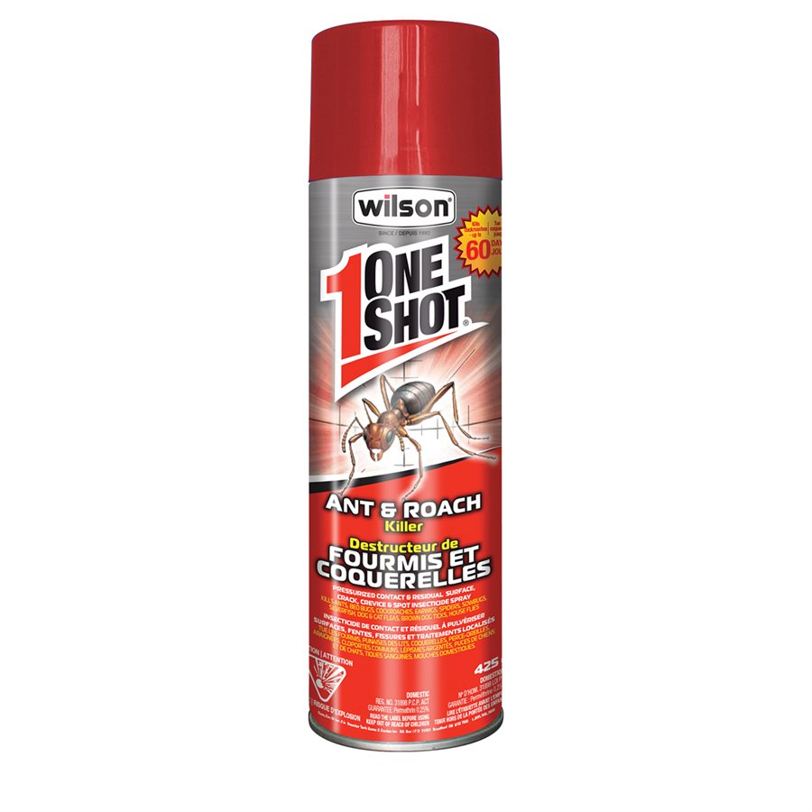Wilson Ant & Roach Killer Spray - 425g — Interline Wholesale Hardware